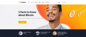 10 Best Bitcoin & Cryptocurrency WordPress Themes - Webgyaani