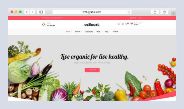15 Best Fruit, Vegetable & Farming Business WordPress Themes